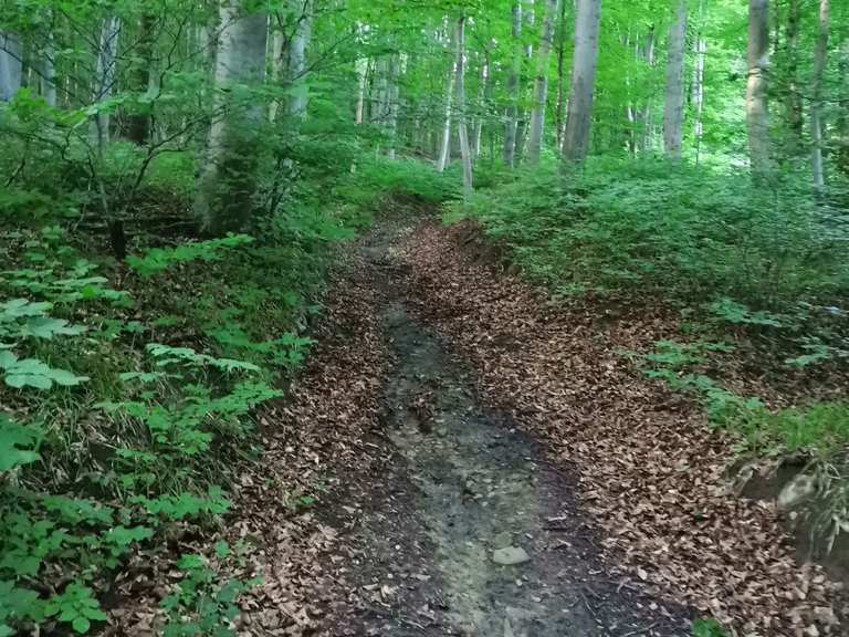 Uphill-Trail Mountain Bike Trails & Tracks | Komoot