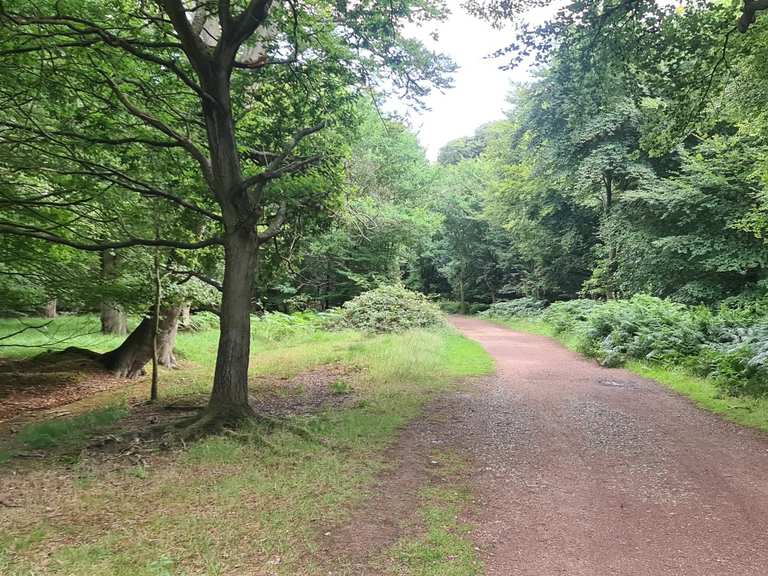 Green Ride, Epping Forest Mountain Bike Trails & Tracks | Komoot