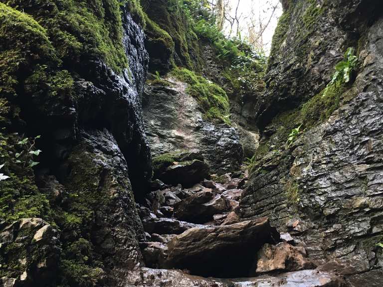 Ebbor Gorge Routes for Walking and Hiking | Komoot