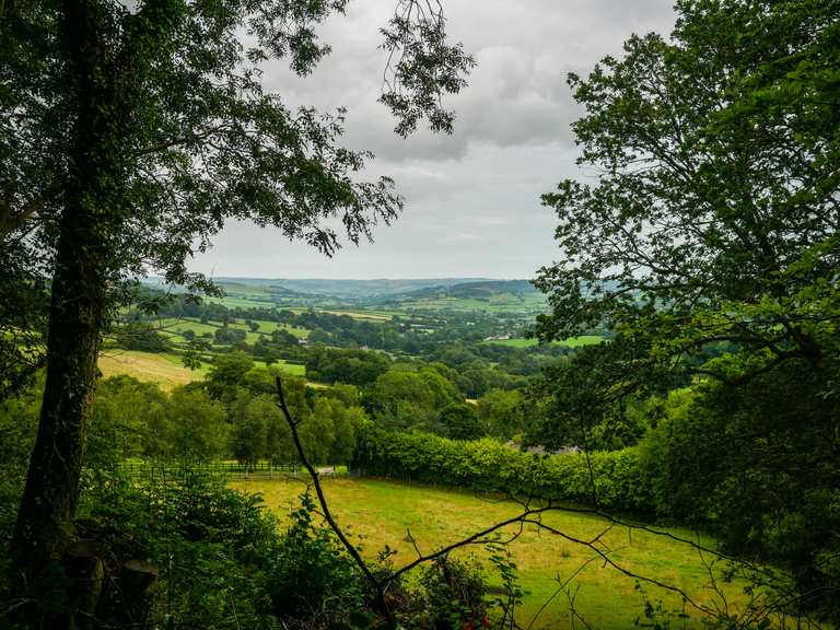 Die East Devon Way West & South West Coast Path Schleife von Beer ...