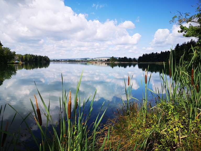 Riedsee : Radtouren und Radwege | komoot