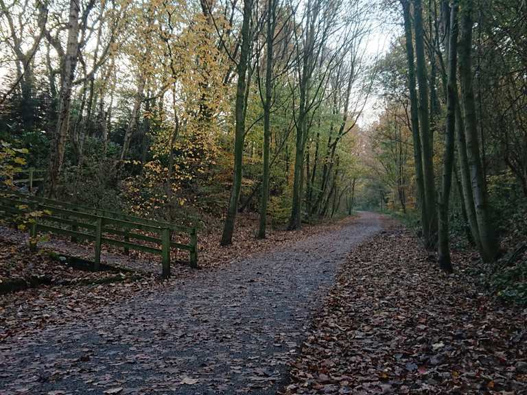 The Roe Green Loopline - Mountain Bike Trails & Tracks | Komoot