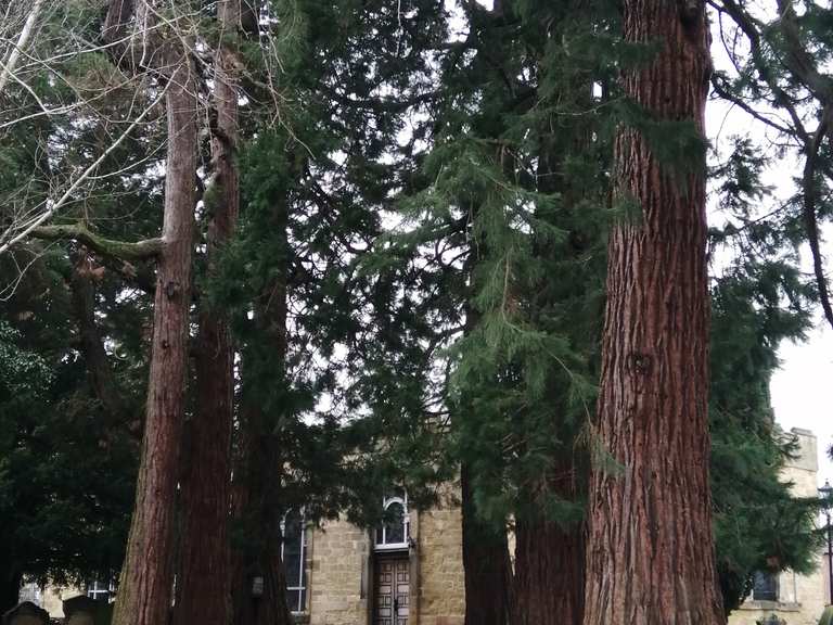 Yarm School – Yarm Bridge loop from Egglescliffe | hike | Komoot