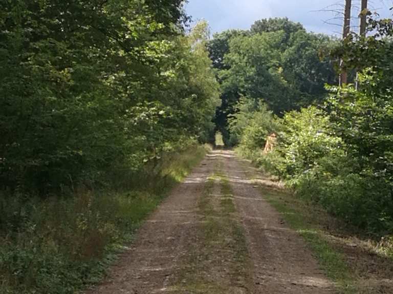"Merler Bahn" - Routes for Walking and Hiking | Komoot
