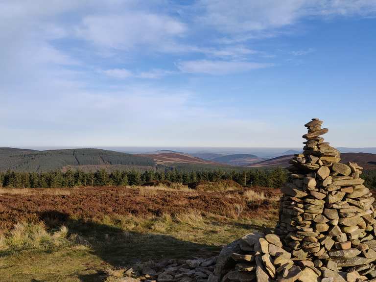 7Stanes - Innerleithen - XC Trail (RED) | Mountainbike-Tour | Komoot