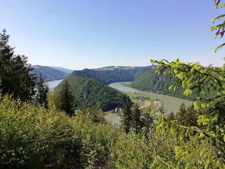 Schlögener Schlingen Blick : Radtouren und Radwege | komoot