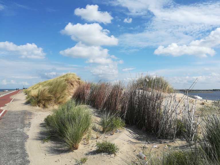 Brouwersdam Cycle Routes and Map | Komoot