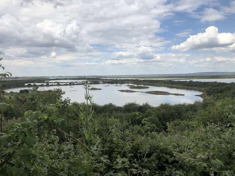 RSPB Cliffe Pools Nature Reserve Routes for Walking and Hiking | Komoot