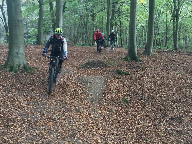 Crater Run - Crater 3 – Friston Forest MTB trails Loop from Friston ...