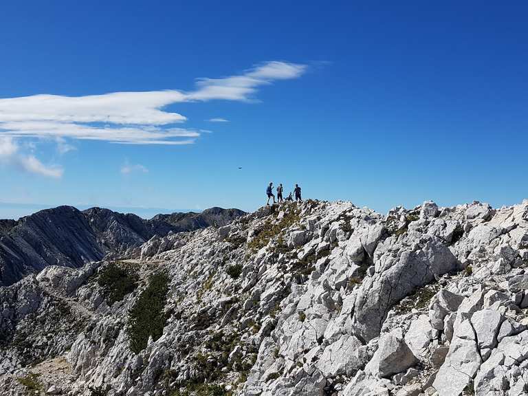Cima Valdritta - Monte Baldo Routes for Walking and Hiking | Komoot