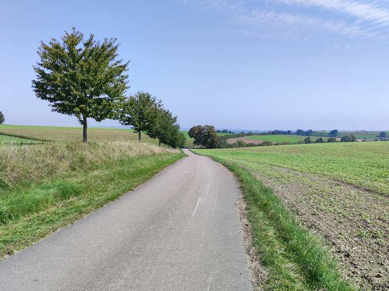Alter Postweg - Asphaltstück : Radtouren und Radwege | komoot