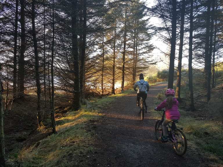 Lionthorn Woods, Falkirk - Mountain Bike Trails & Tracks | Komoot