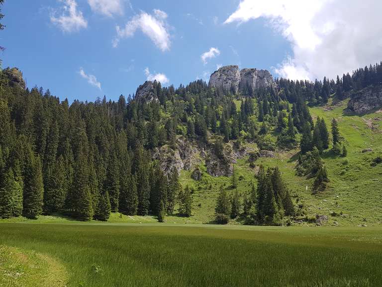 Soila-Alm: Mountainbike-Touren und -Trails | komoot