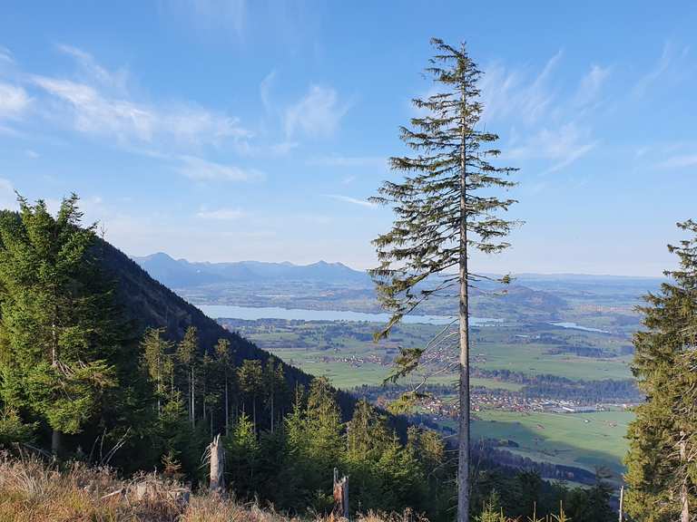 Trauchgauer Almstube – Wolfskopf loop from Trauchgau | hike | Komoot