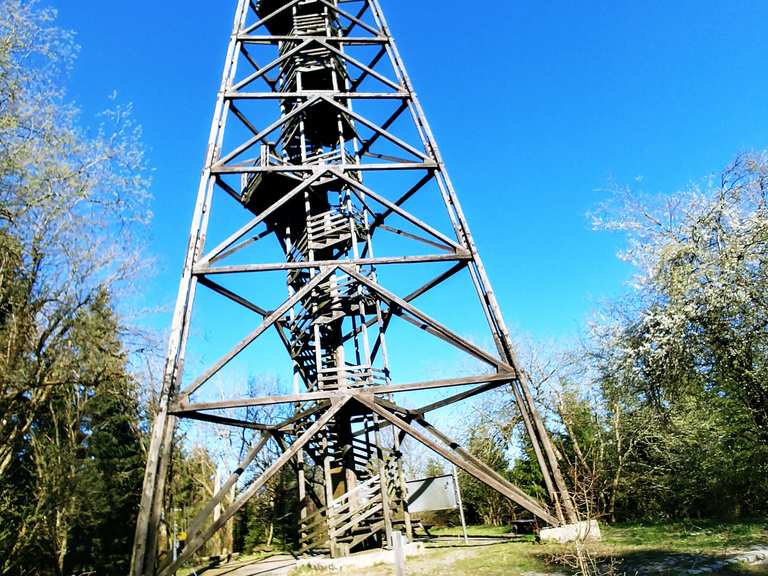 Damberg Aussichtsturm Routes for Walking and Hiking | Komoot