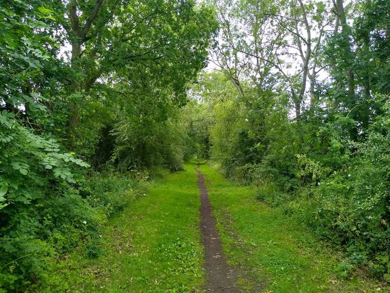 Bubwith Rail trail Cycle Routes and Map | Komoot
