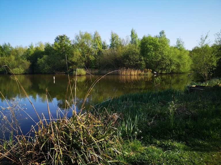 Swan Pool at Sandwell Valley Country Park - Cycle Routes and Map | Komoot