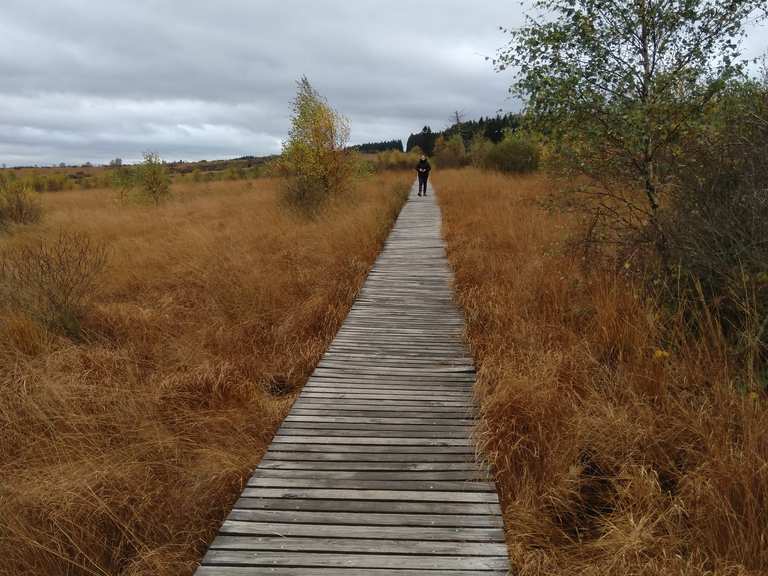 À travers les Fagnes - Itinéraires de rando et marche | Komoot
