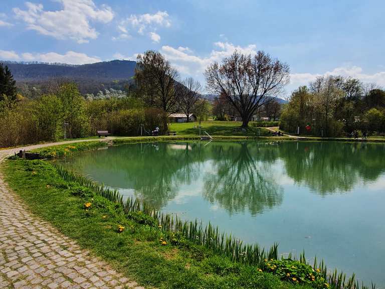 Bissinger See Routes for Walking and Hiking | Komoot