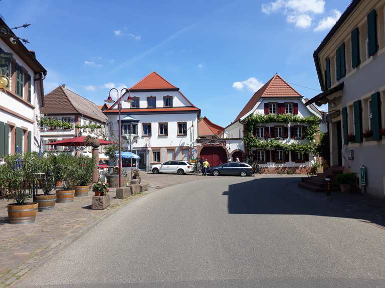 Rhodt unter der Rietburg - Cycle Routes and Map | Komoot