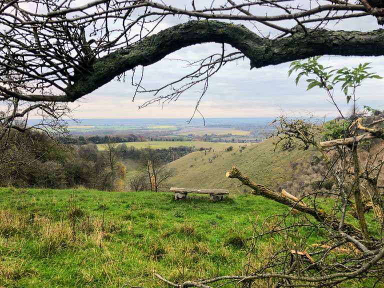 Anello di Knocking Hoe National Nature Reserve e Deacon Hill da Hexton ...