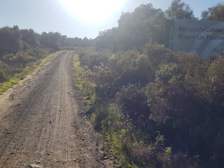 Embalse de José Toran a Mirador de las Palomas - circular | mountain ...