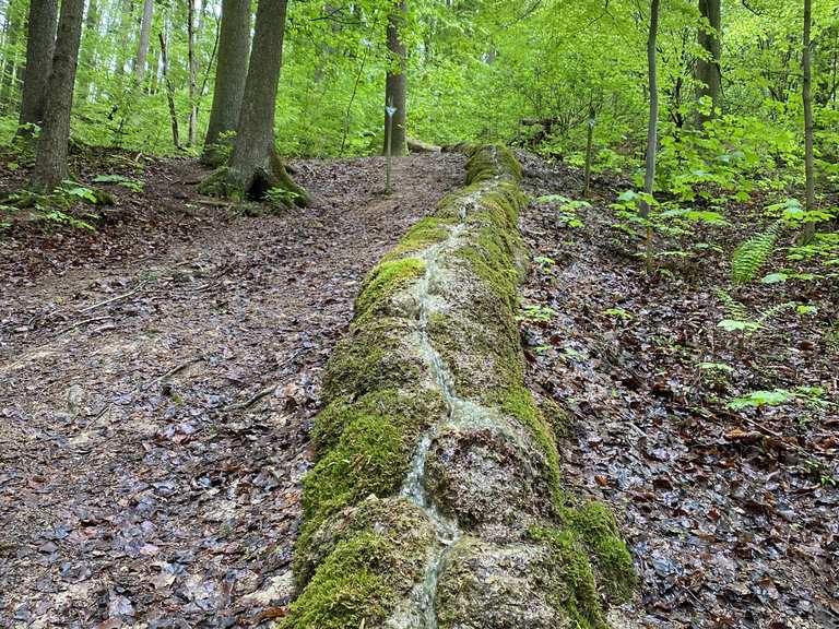 Steinerne Rinne: Wanderungen und Rundwege | komoot