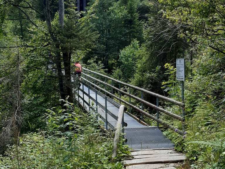 Puente Trölisteg: Rutas MTB | Komoot