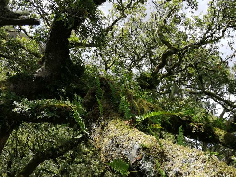 Piles Copse Routes for Walking and Hiking | Komoot