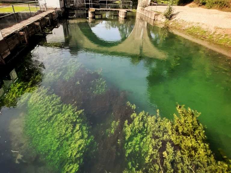 Antiguo puente ferroviario sobre el Rhume en Rhumspringe: Rutas MTB ...