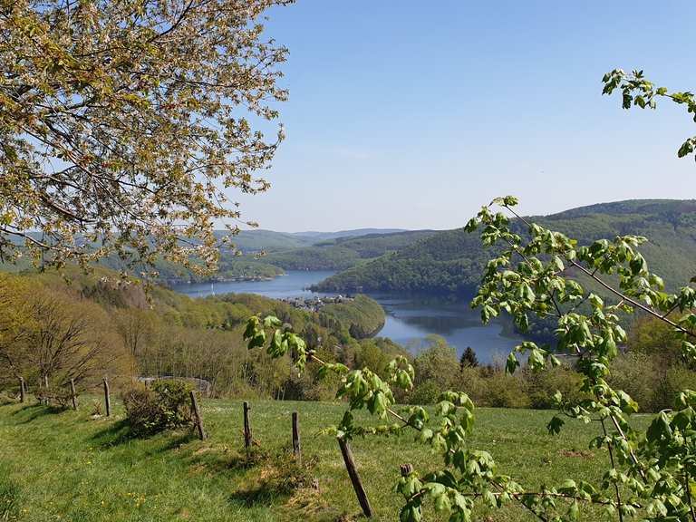 Eifel bekijken Kierberg - Woffelsbach wandelroutes en hikes | Komoot