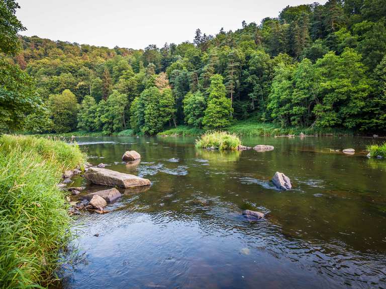 Regental cycle path Cycle Routes and Map | Komoot