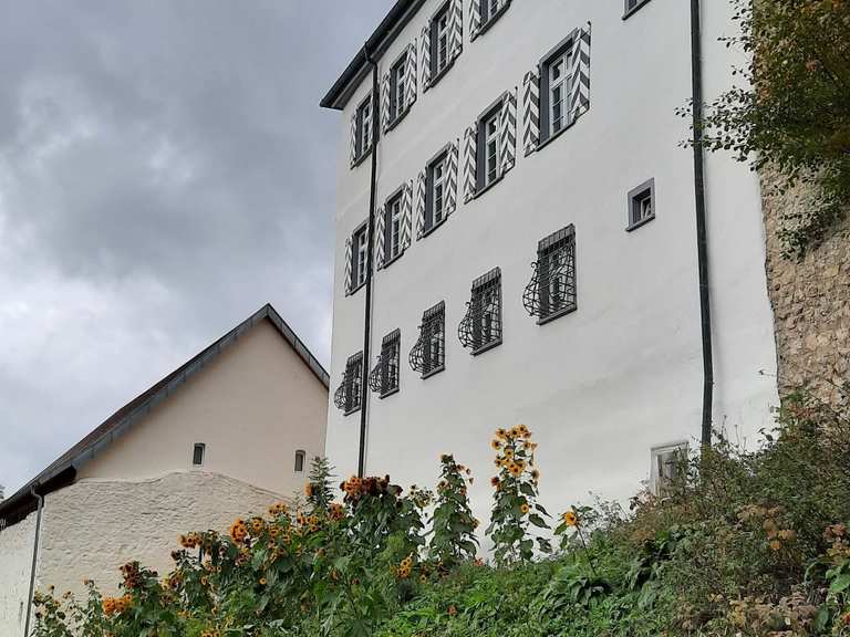 Schloss Hettingen: Wanderungen und Rundwege | komoot