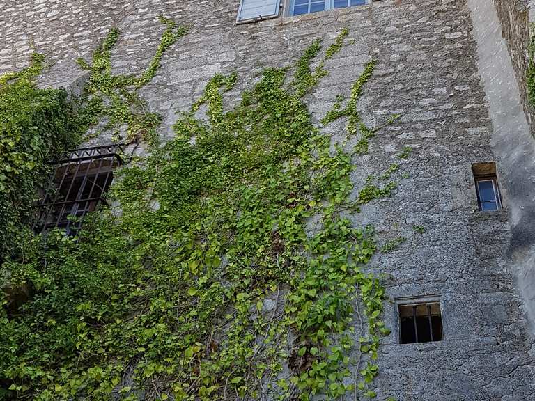 Schloss von Saint-Martin-de-Pallières: Wanderungen und Rundwege | komoot