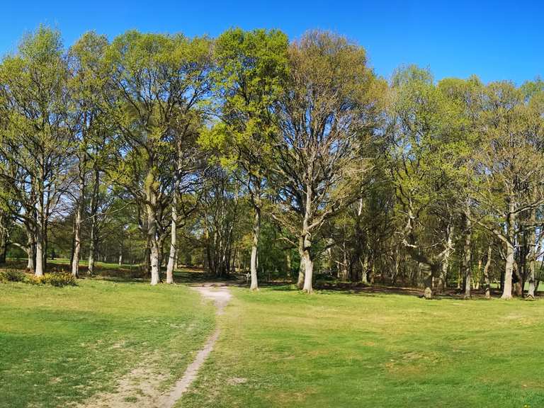 Stage 7: Chinnor to Dunstable — Greater Ridgeway Trail | gravel ride ...