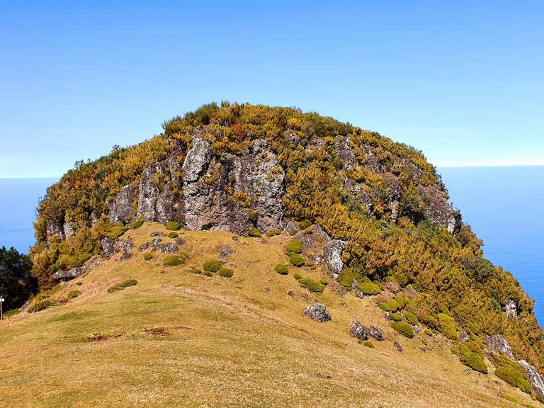 Levada dos Cedros e Fanal — Rundweg PR14 auf der Insel Madeira ...
