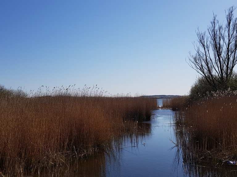 NSG Aalbeek-Niederung: Mountainbike-Touren | komoot