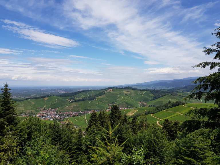 Durbacher Weitblick: Wanderungen und Rundwege | komoot