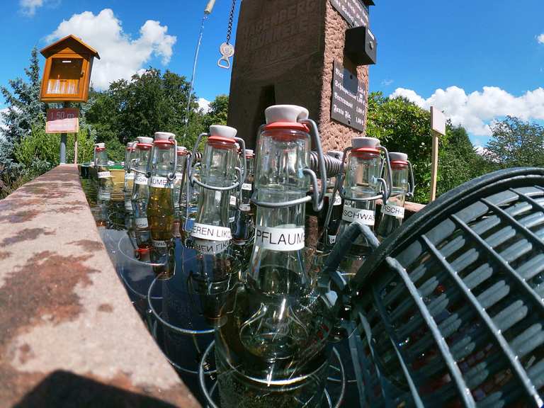 Schnapsbrunnen Routes for Walking and Hiking | Komoot