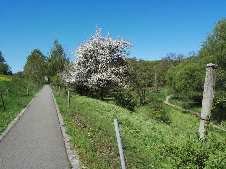 Radweg auf der Alten Bahntrasse Potschappel–Nossen: Radtouren und ...