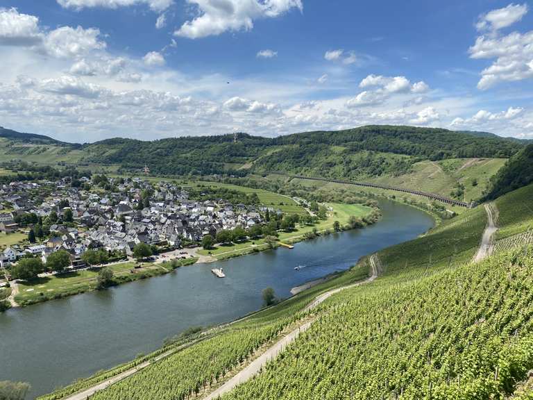 Moselradweg Tour | Komoot