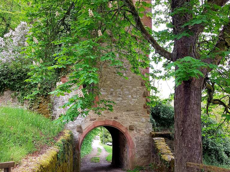 Burg Neidenstein Routes for Walking and Hiking | Komoot