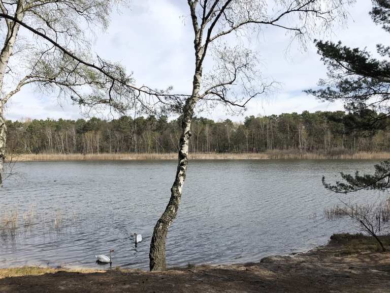 Frauensee: Wanderungen und Rundwege | komoot