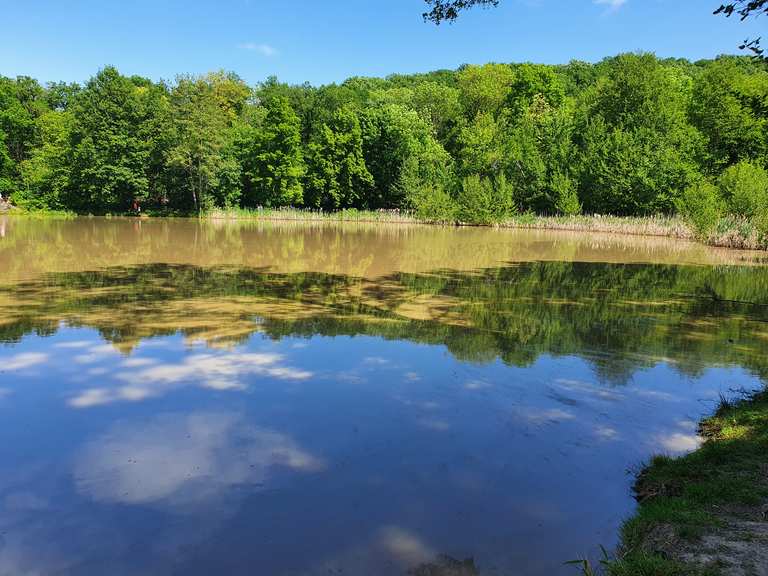 Annasee: Wanderungen und Rundwege | komoot