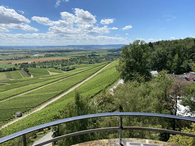 KR1 Weinwanderung am Heuchelberg | Wanderung | Komoot
