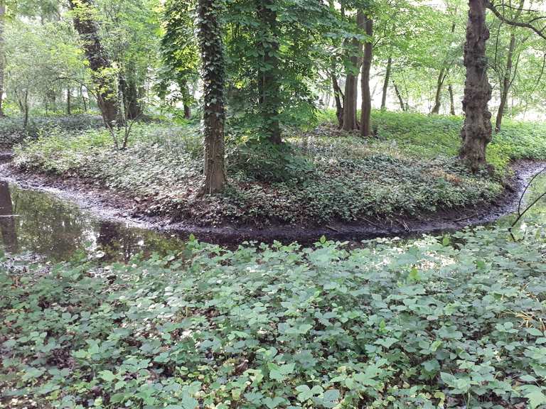 Rhoon Castle Garden – Hikes & How to Get There | Komoot