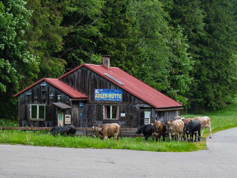 Adlerhütte del LBV: Rutas MTB | Komoot