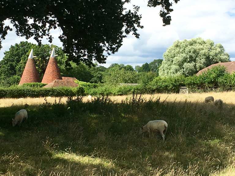 Pluckley Village Routes for Walking and Hiking | Komoot