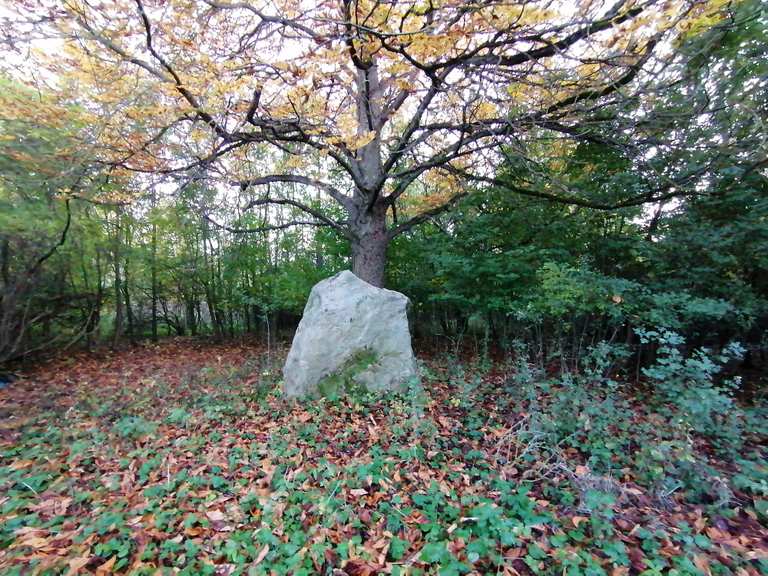Blaue Gans Menhir: MTB-routes en trails | Komoot