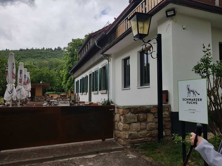 Forsthaus Annweiler/Schwarzer Fuchs: Wanderungen und Rundwege | komoot